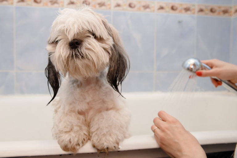 Self Wash Tubs | Self-Service Dog Grooming Stations